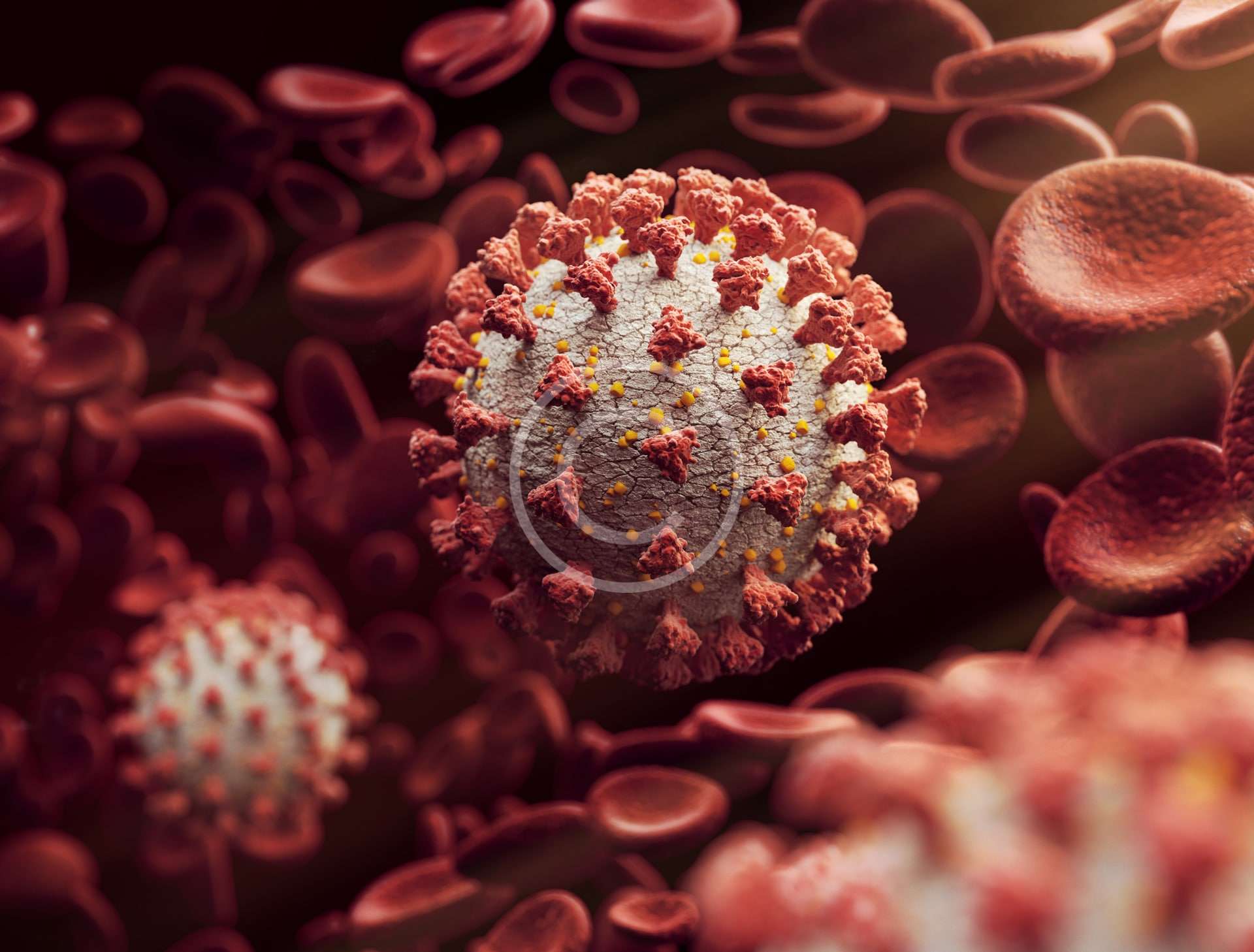 Comprehensive liver function test – Meet Marga